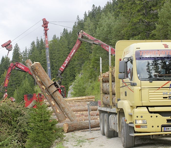 Log production and consumption shifts to Europe's east
