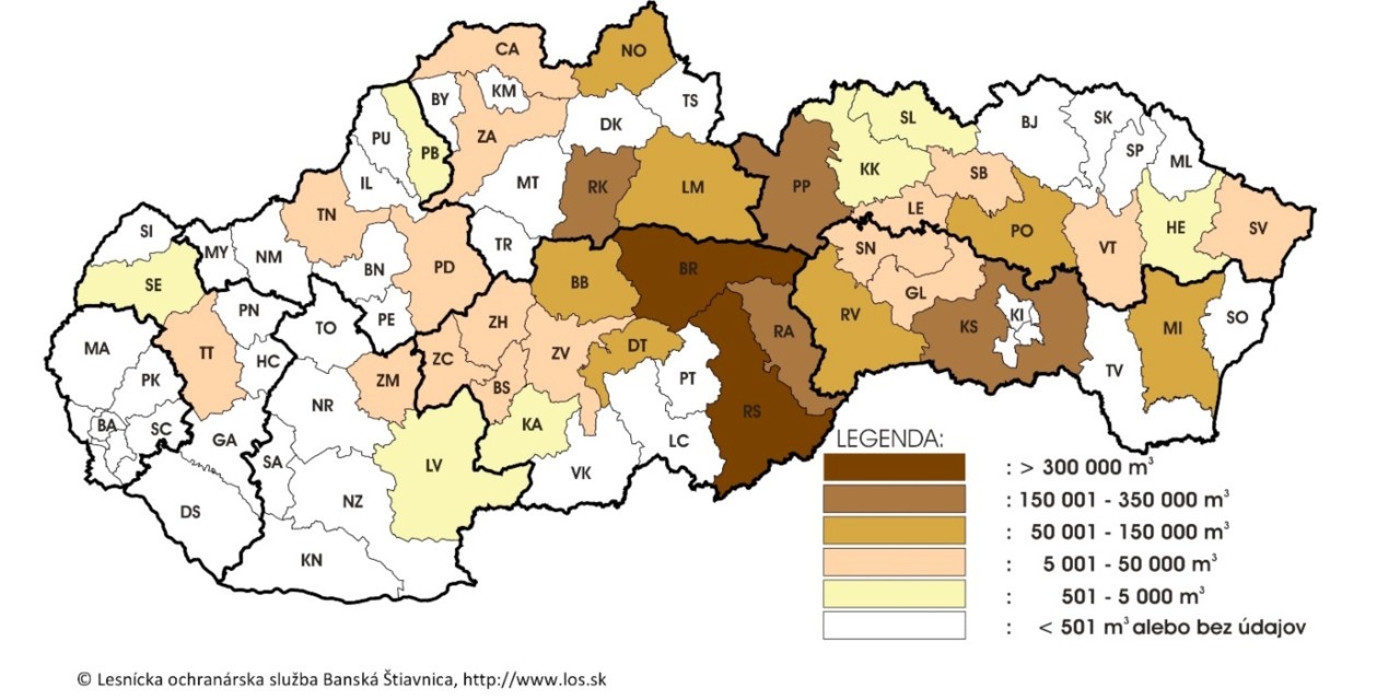 More than 3 million sm³ of windthrow timber in Slovakia