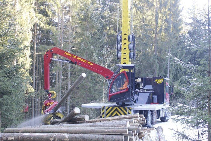 Forest conversion in view of climate change