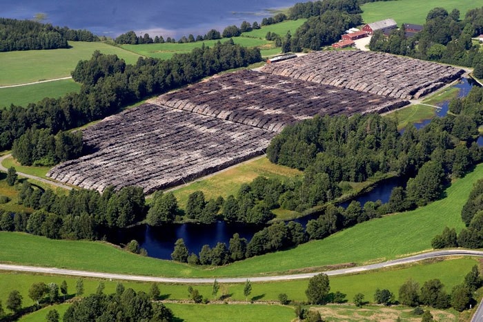 Ten years after Hurricane Gudrun