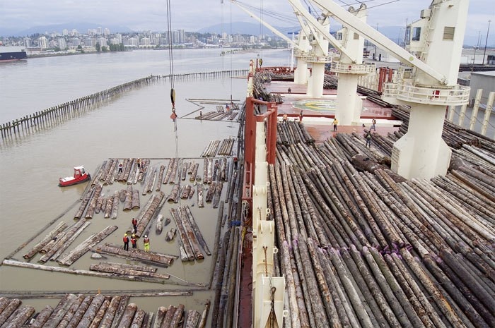 China announced logging ban as of late 2016