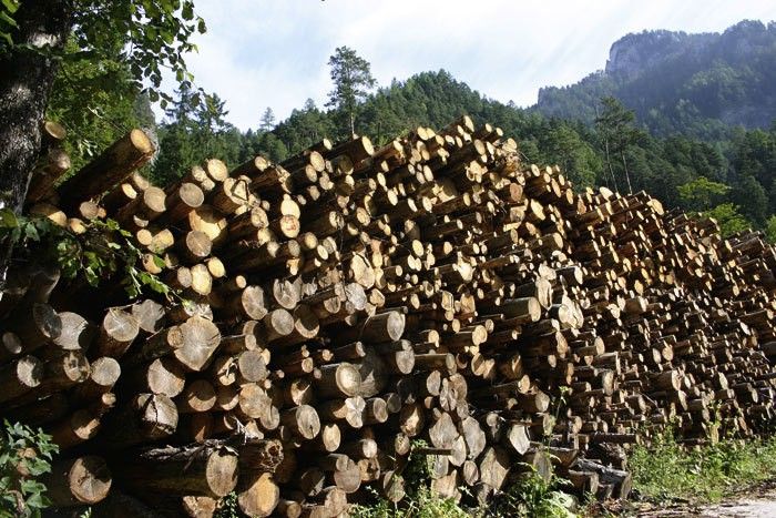 Global Pulpwood Price Indices down almost 10% in 12 months