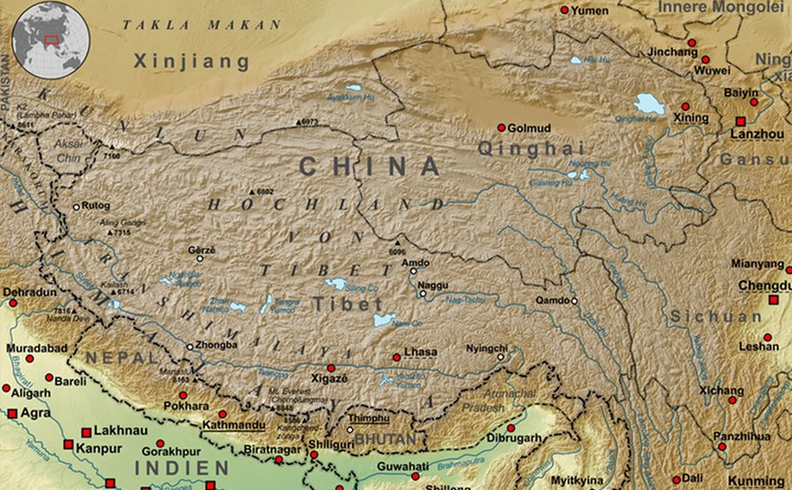 The world’s largest forest afforestation project