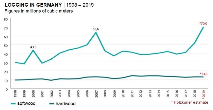 Significantly more damaged wood in 2019