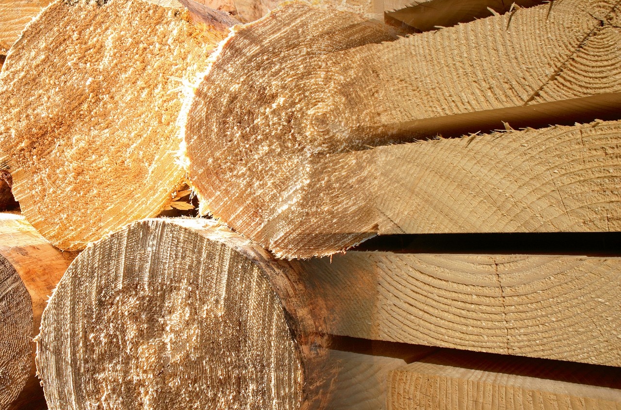 Lumber price index with a significant fall at the end of the year