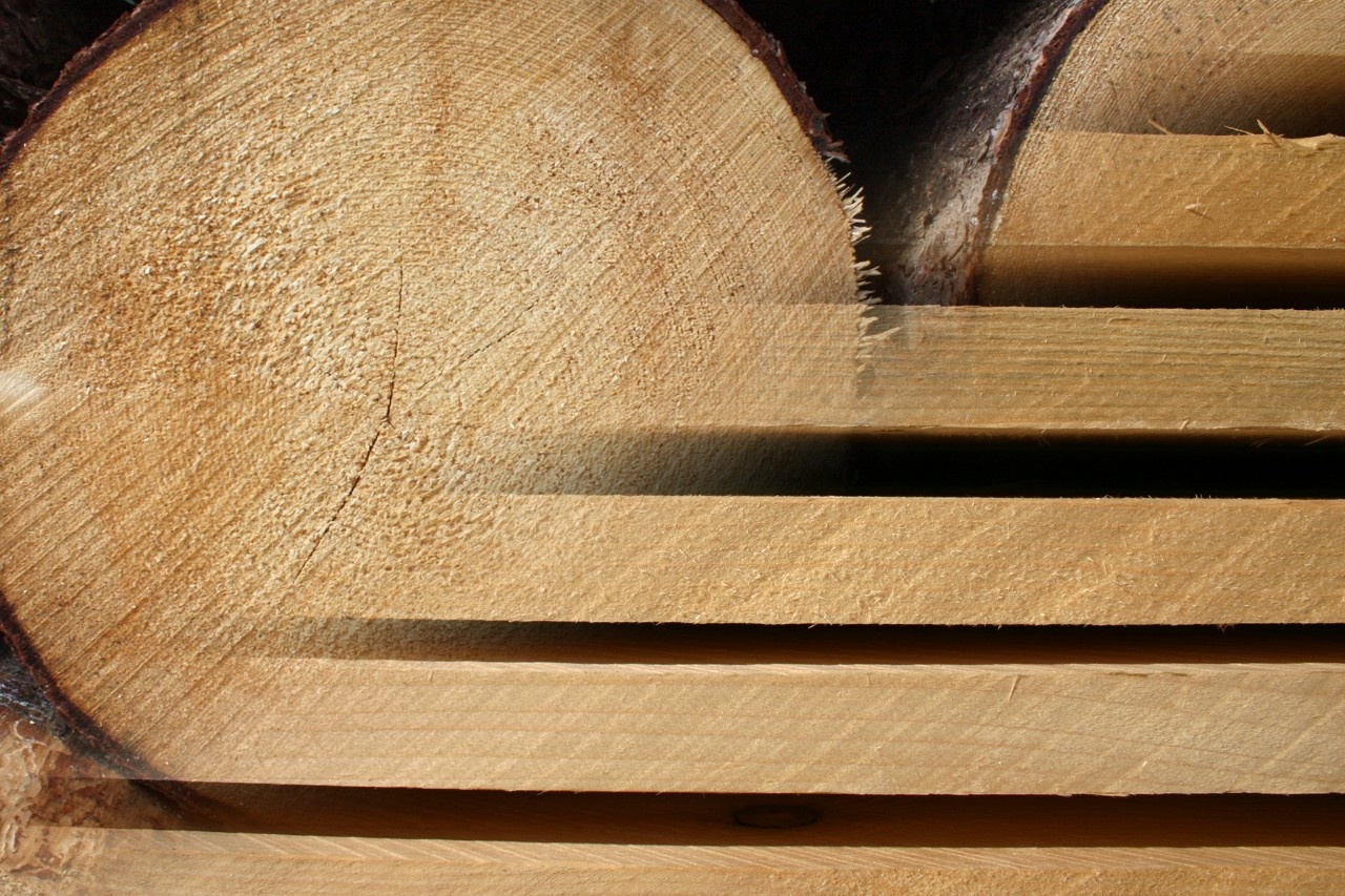 Log wood and lumber with different developments