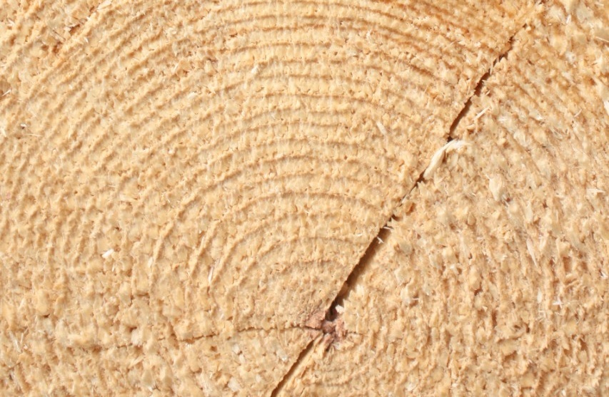 Slight decrease in softwood log imports