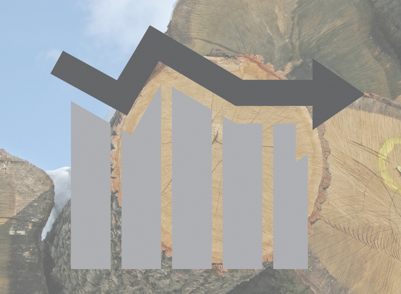 Oak with a marked decrease, spruce with solid increases