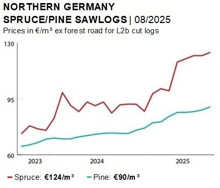 Spruce log prices increasingly exceed €130/m³