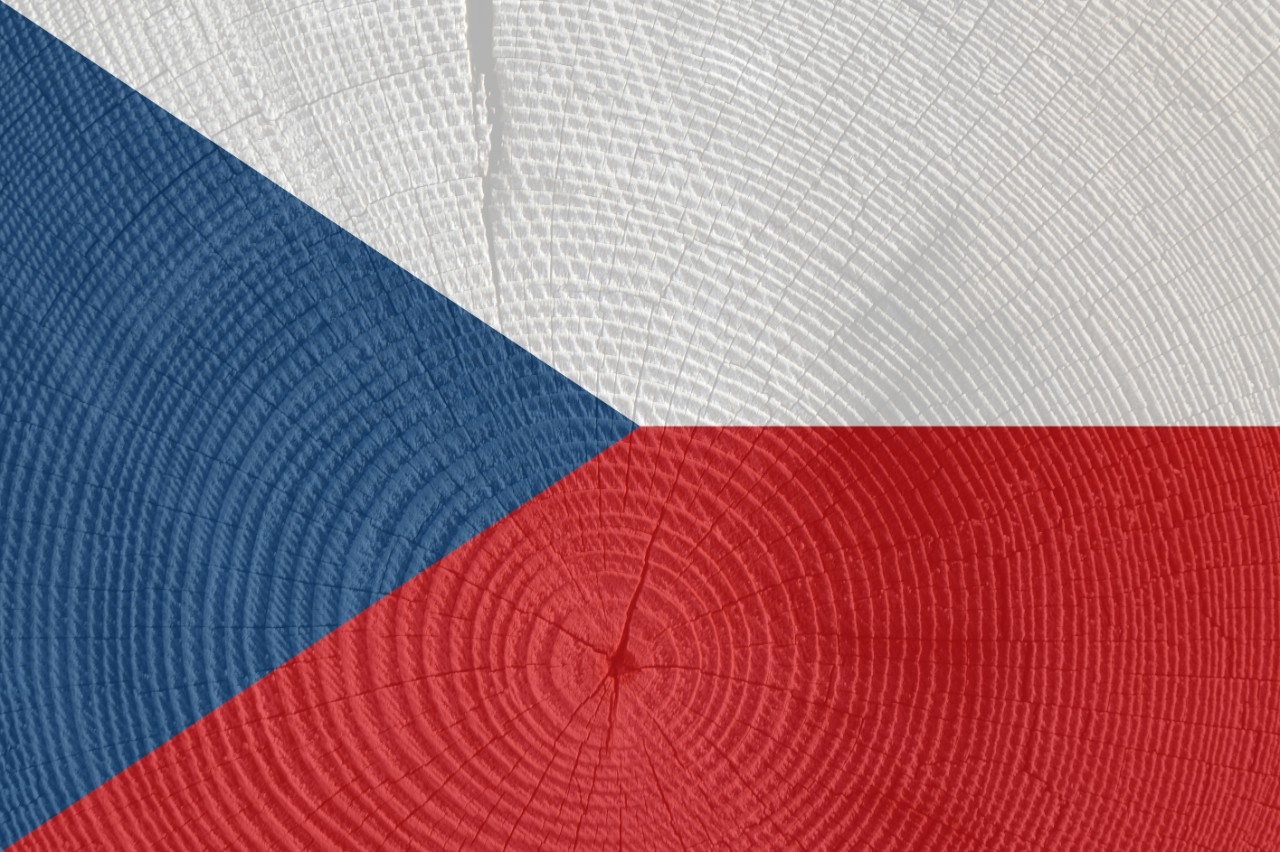 Czech harvest volume decreases in line with damaged wood