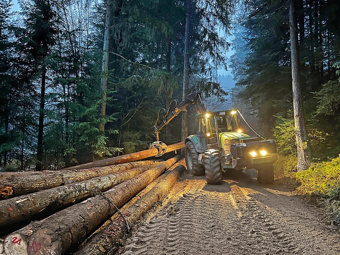 Softwood log prices set to be valid until mid-2026