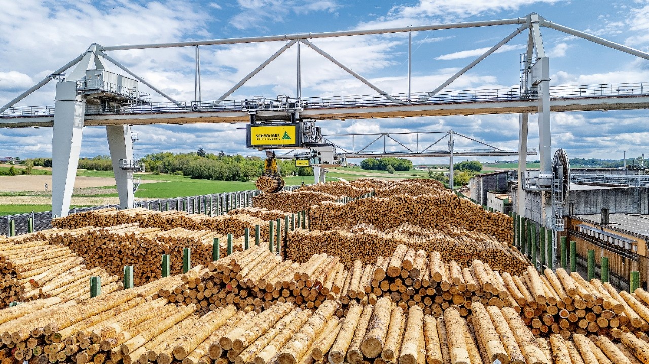 Gantry crane systems gain traction in North American log yards