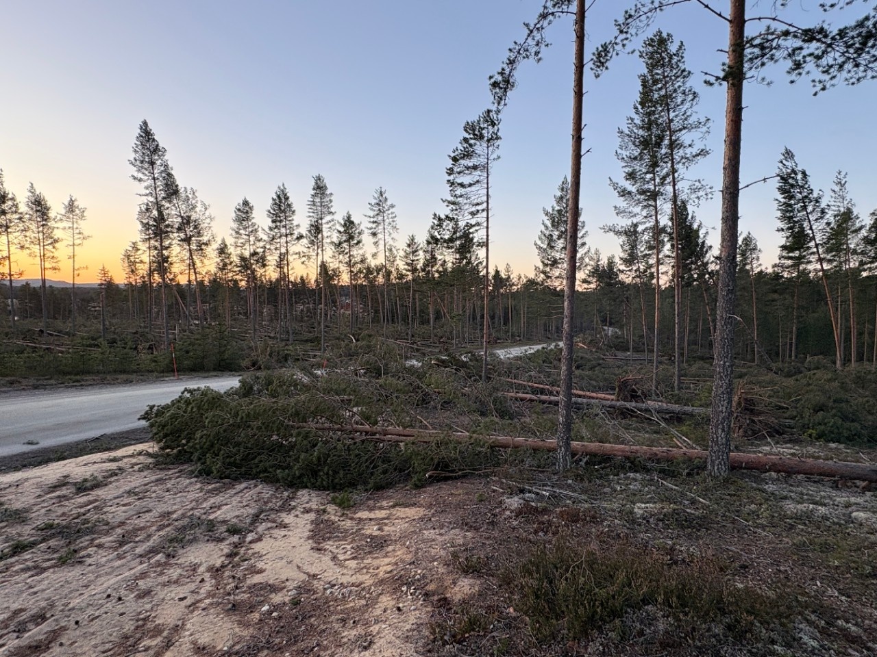 Winter storm causes damage in Sweden and Finland