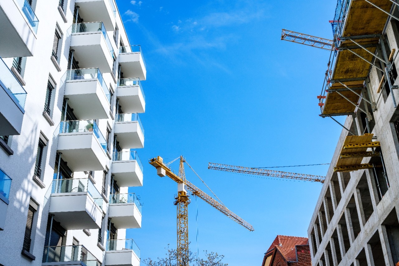 Moderate growth expected in 2025