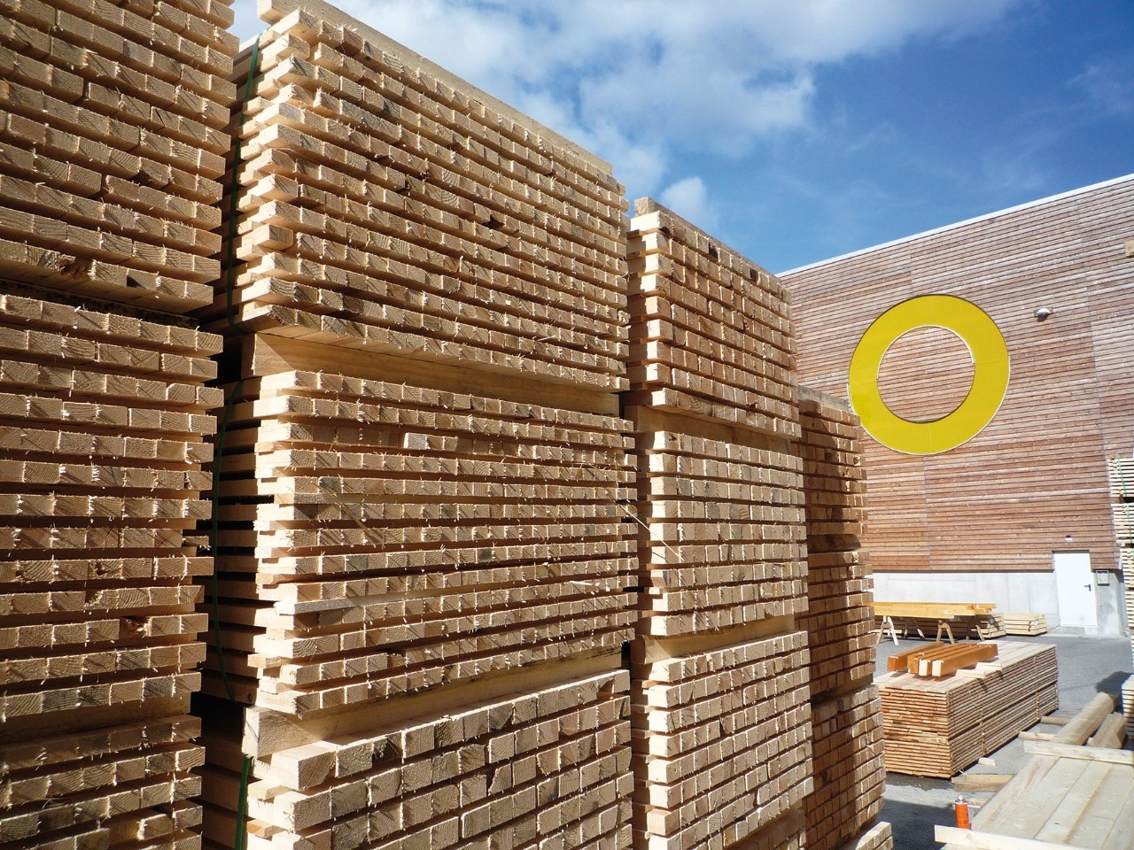 Austrian softwood lumber exports rise