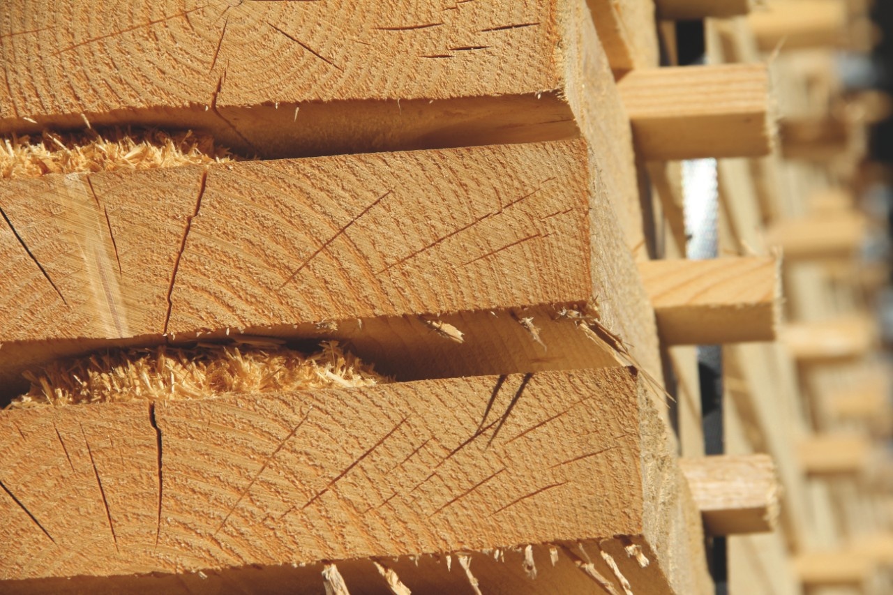 Softwood Lumber Russia March 2018