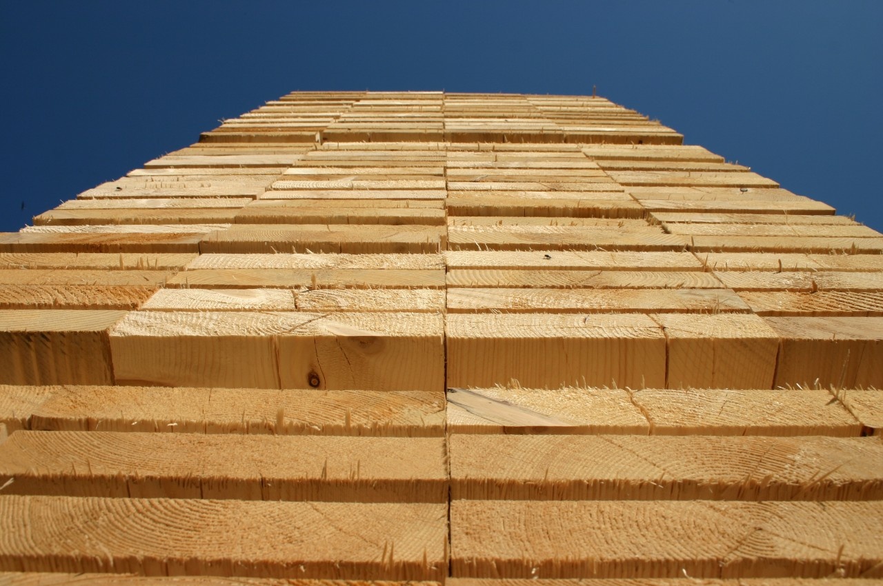 Foreign sawn timber sales increased