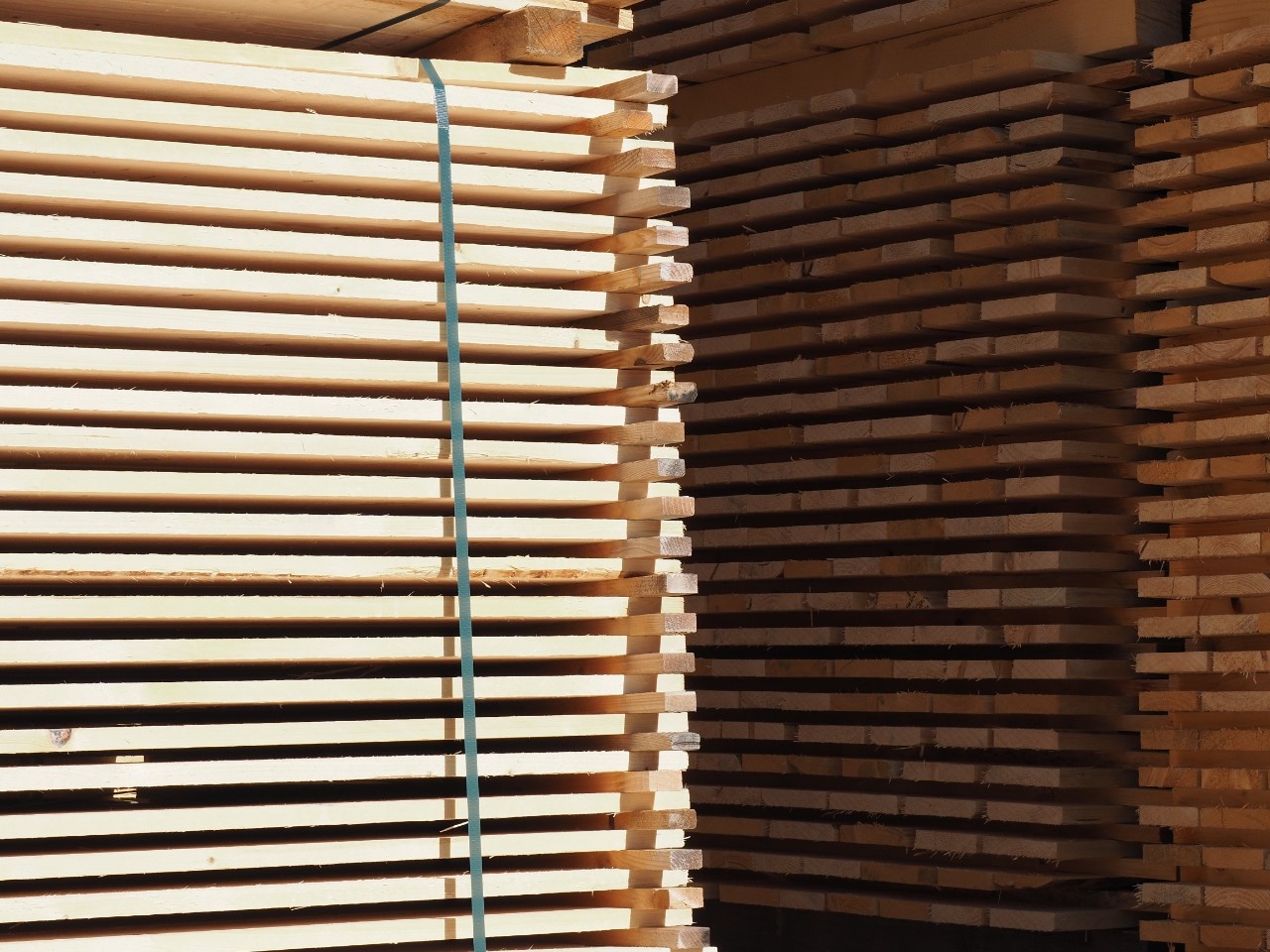 Japanese imports of softwood lumber January to August 2019