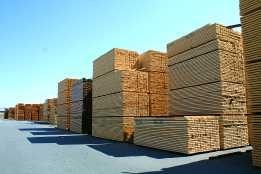 Falling sawn timber prices in 2019