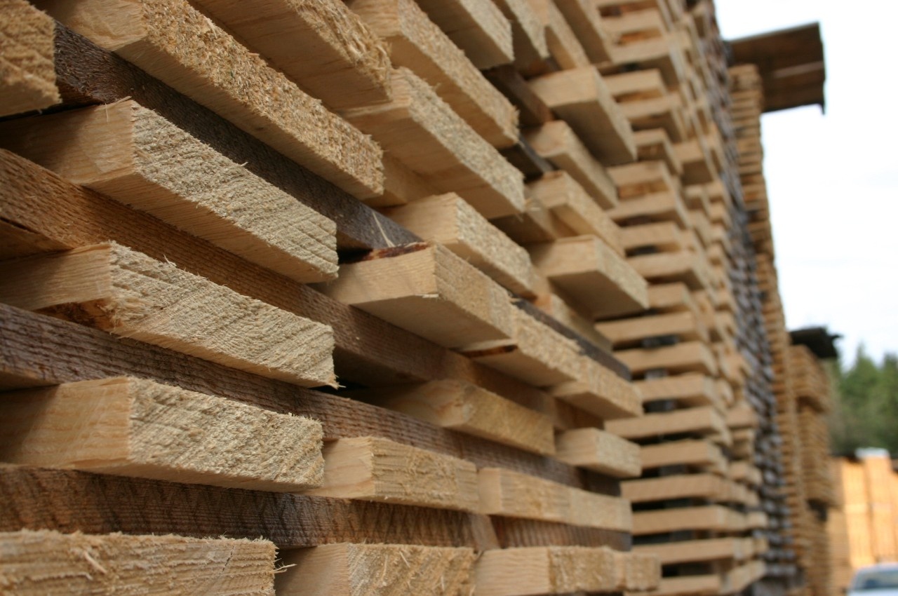 Swedish softwood lumber exports constant