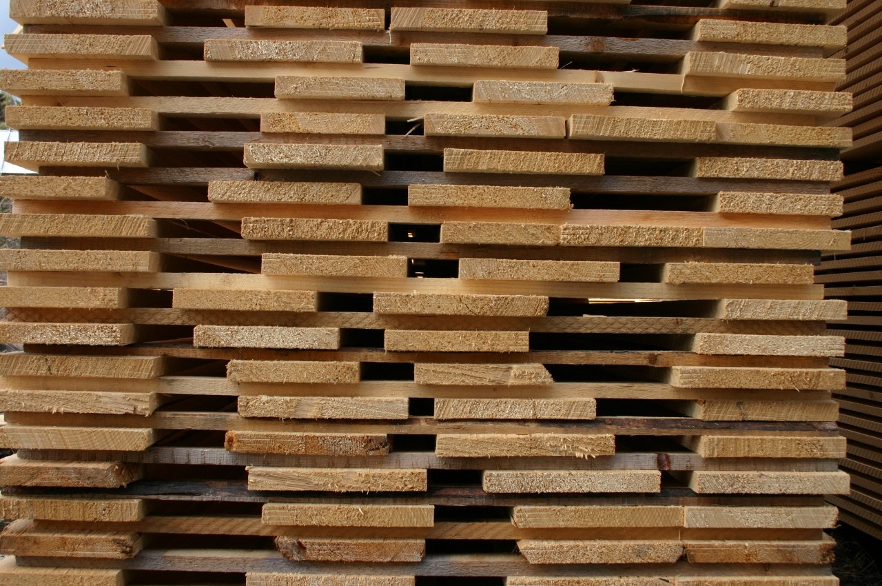 Decrease in German lumber production