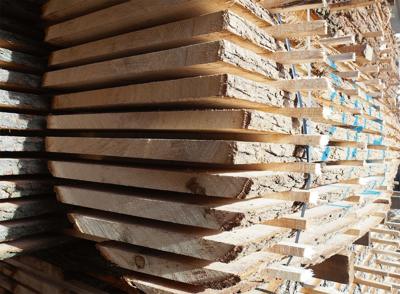 Hardwood lumber: double-digit increase in production in 2021