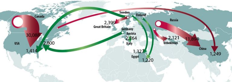 Germany – USA the third-biggest lumber trade flow