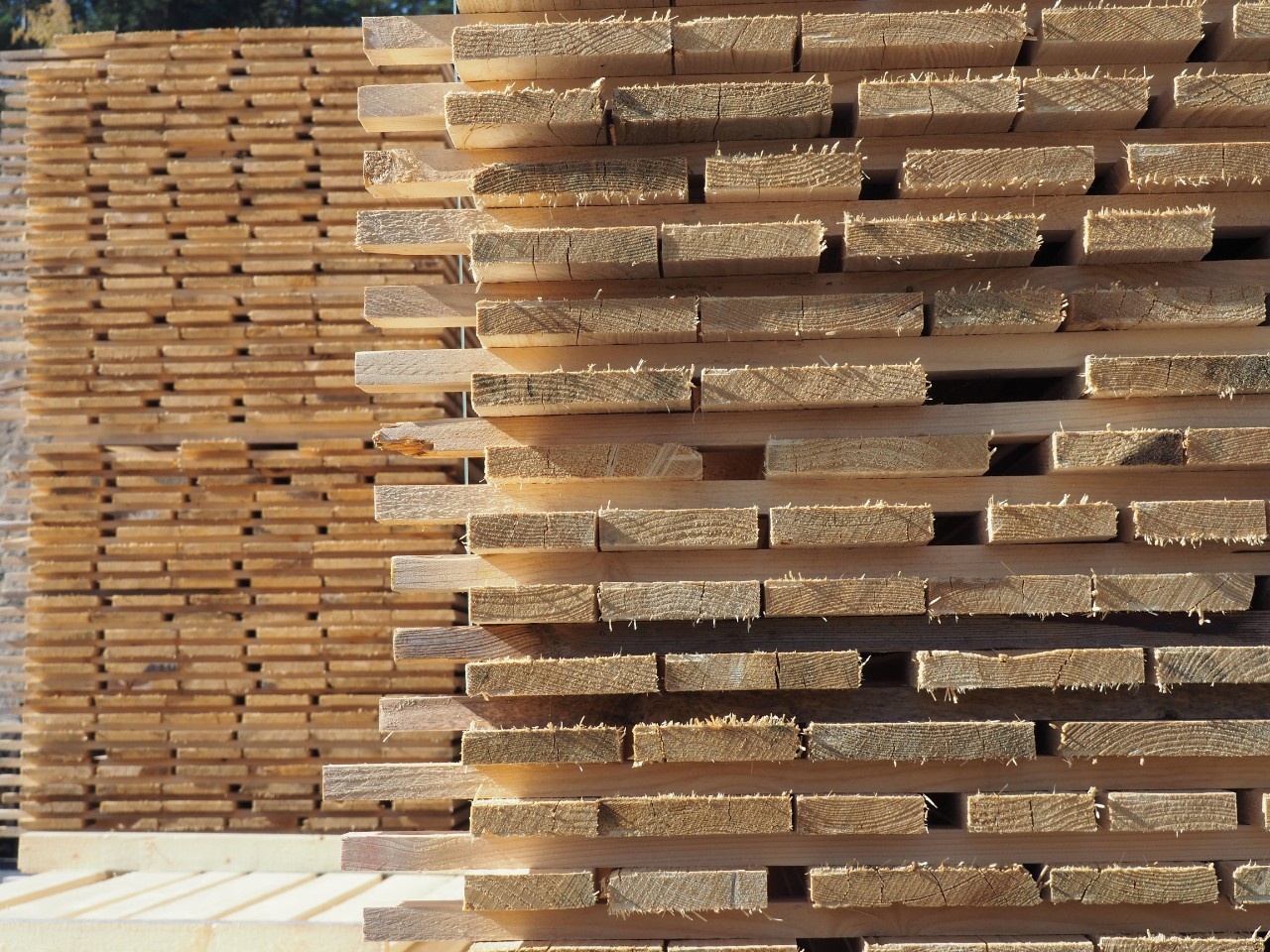 Austrian softwood lumber exports on the decrease