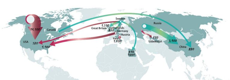 Global loss in the value of lumber