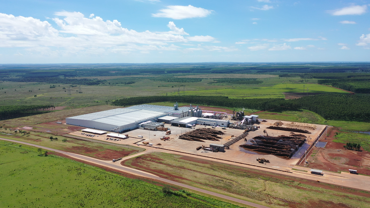 Hs Timber Group Official Start In Argentina