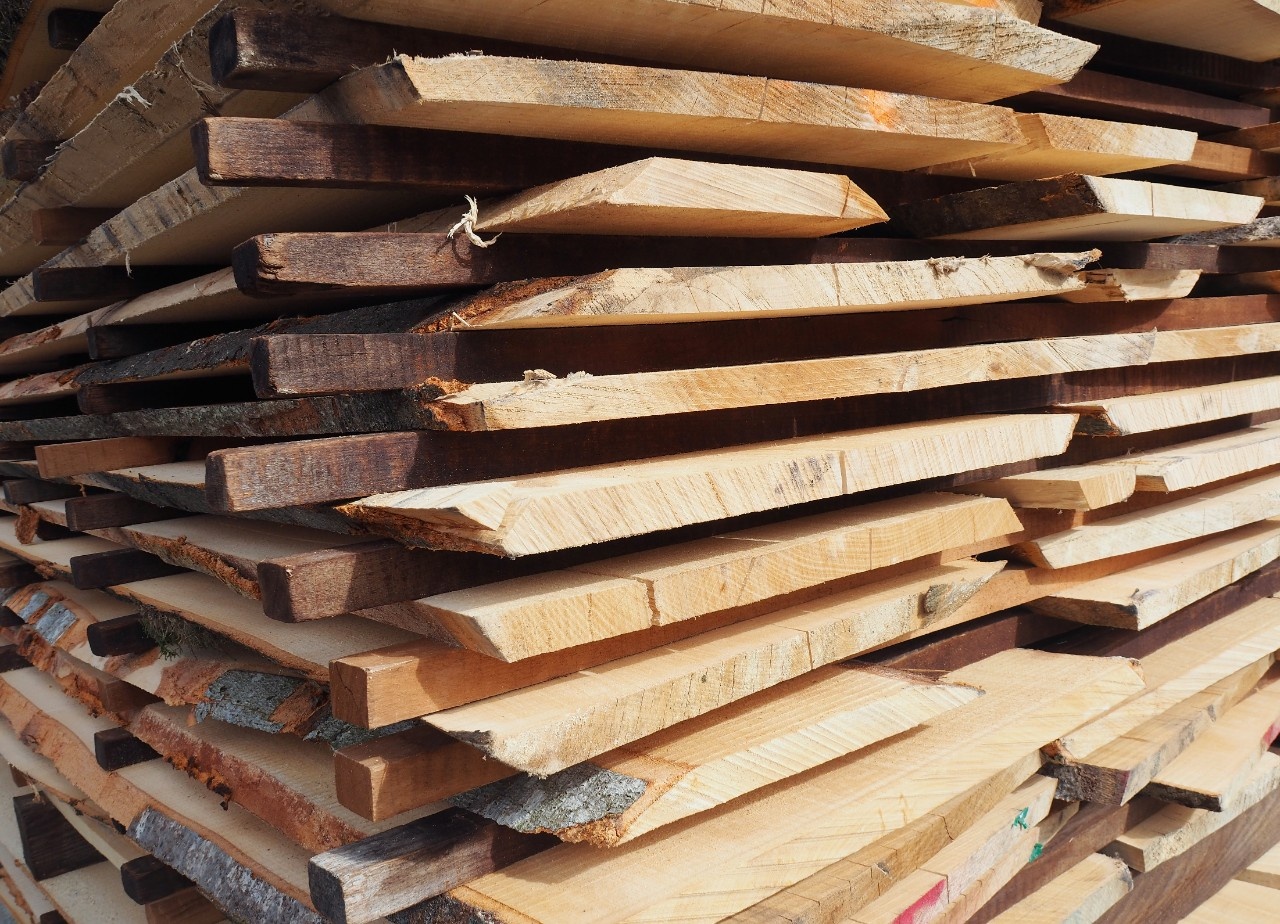Growing beech lumber exports