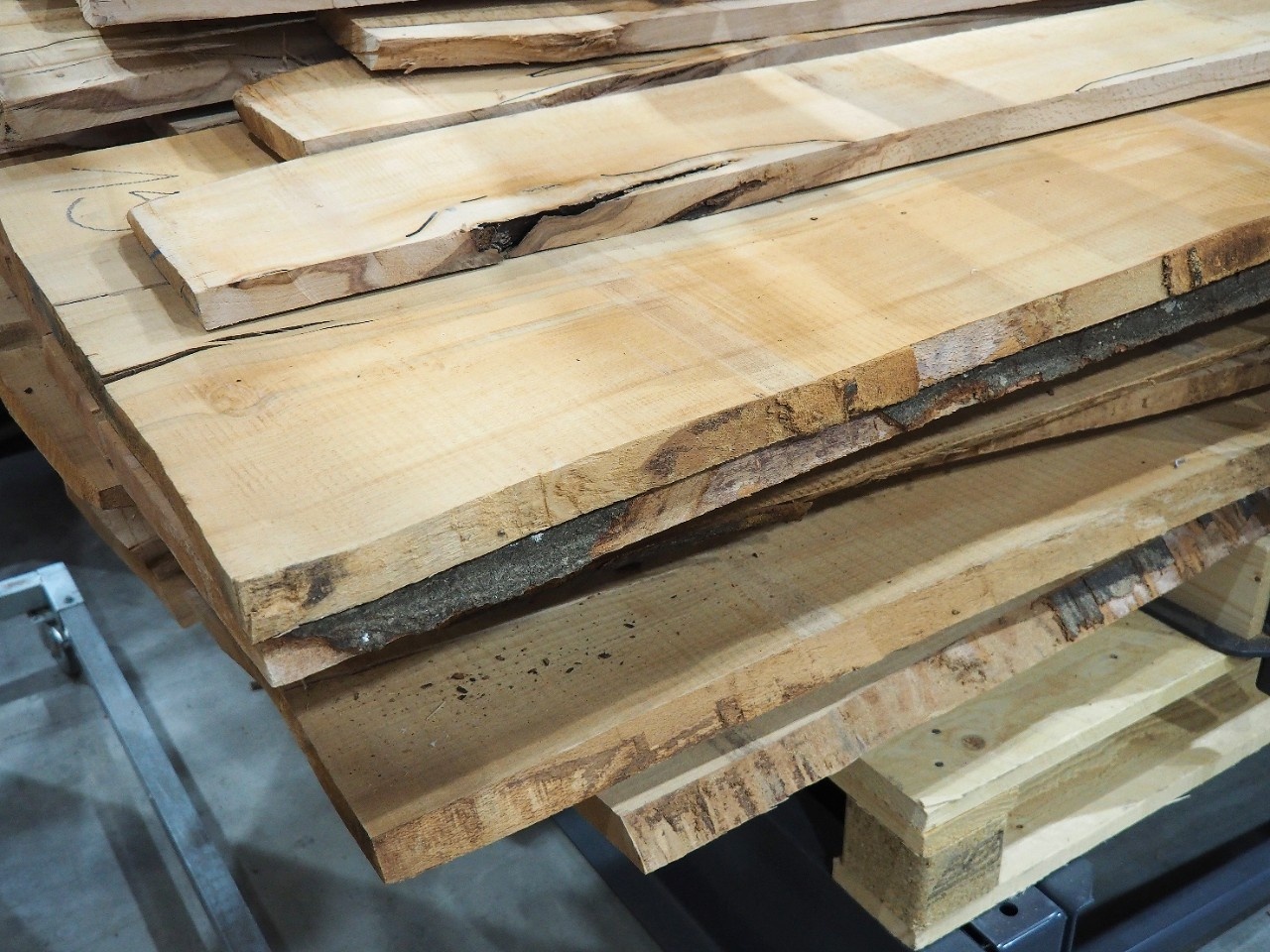 Weak July for German beech sawmills