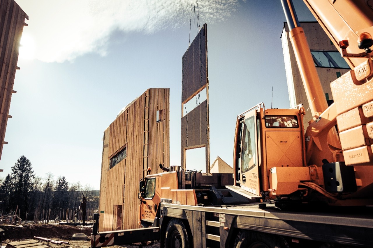 Stellar cross-laminated timber