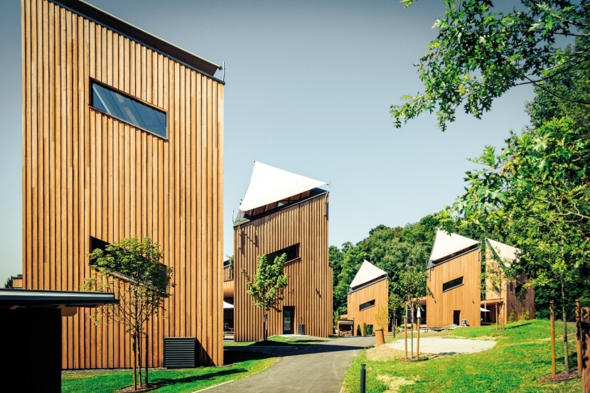 Stellar cross-laminated timber