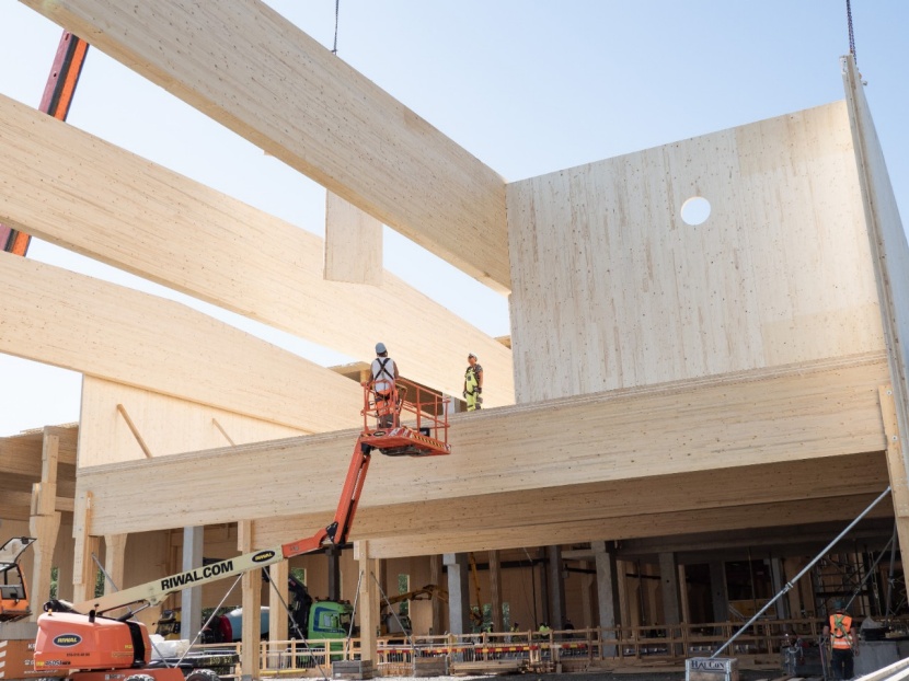 Wood-based products for low-carbon buildings