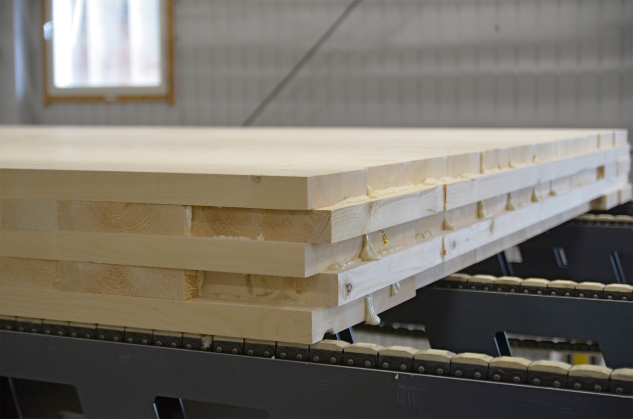 Plans for CLT factory in Russia