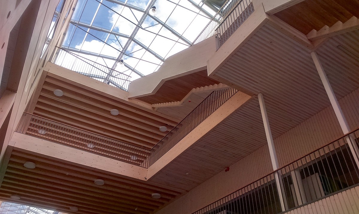 Ribs for slimming down timber constructions