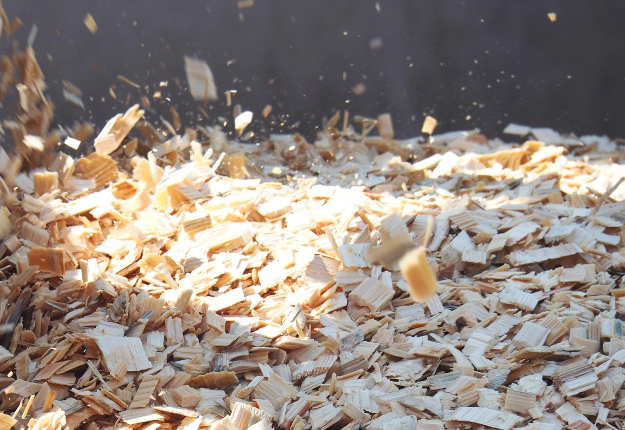 Widening gap between sawdust and wood chip prices