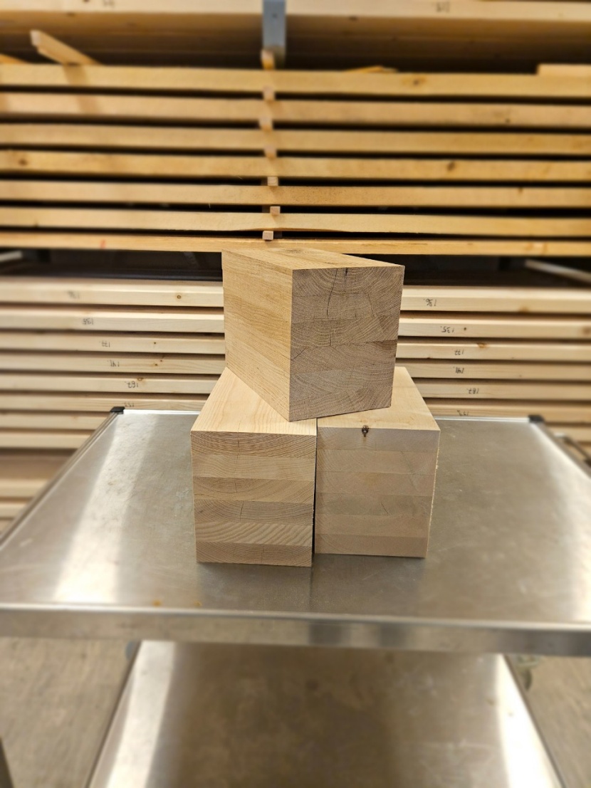 MUF adhesive opens up new perspectives for hardwood construction